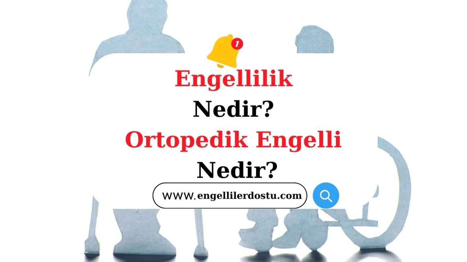 Engellilik Nedir? Ortopedik Engelli Nedir?